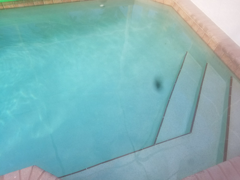 Pool Stain Removal, Naples, FL | Gulfshore Pools LLC [Infographic]